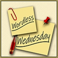 Wordless Wednesday – Comedy Plus