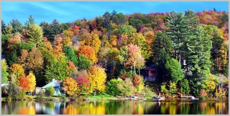 Wordless Wednesday – Comedy Plus