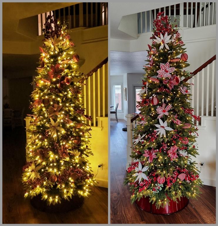 Awww Mondays – Comedy Plus