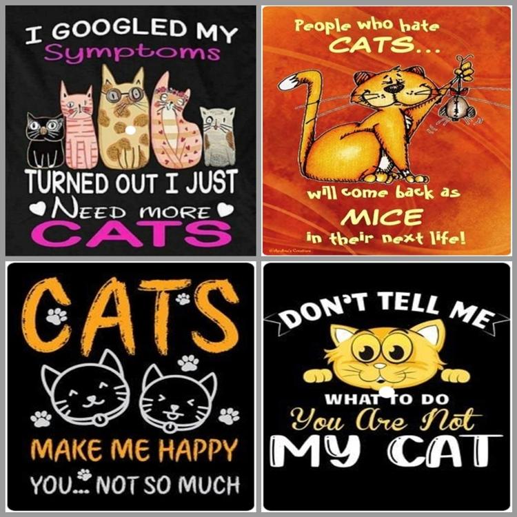 Happy Tuesday – Comedy Plus